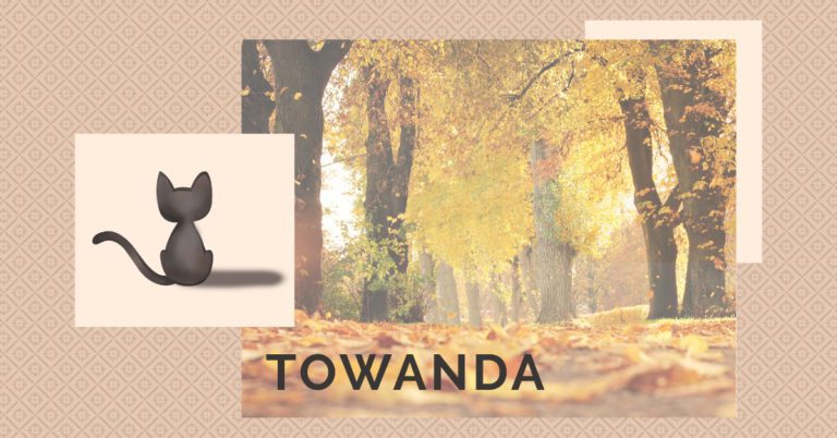 La historia de Towanda - El blog de Anekke